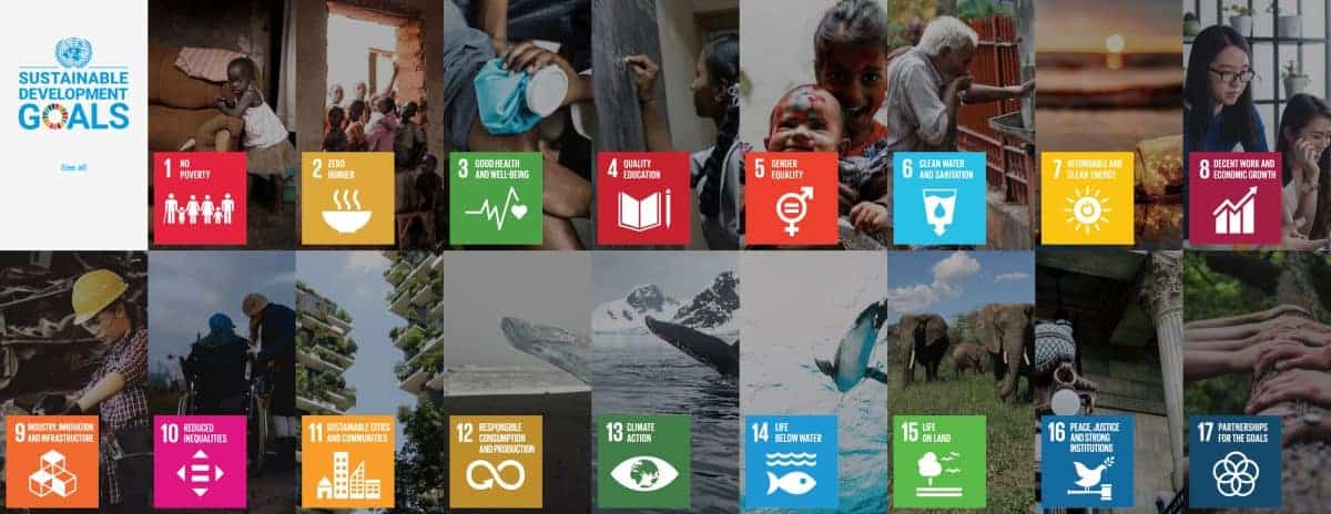 The SDGs — The Good, The Bad, The Ugly, and Us - Impossible Metals