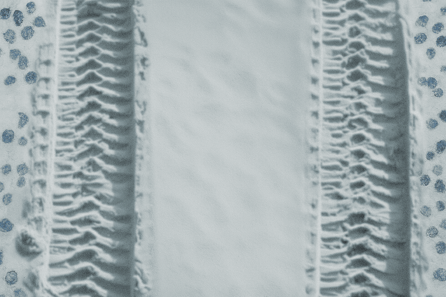 Sustainability - Impossible Metals